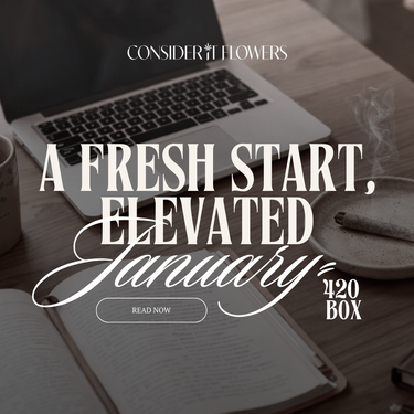 A Fresh Start, Elevated: What’s Inside January’s 420 Box